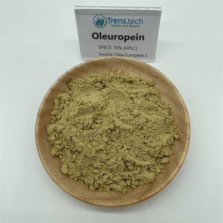 Oleuropein – Focus on Brain Health, Longevity